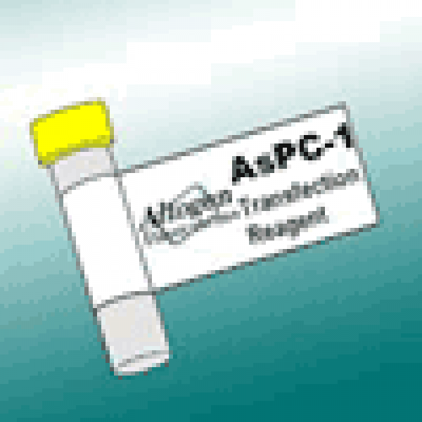 AsPC-1 Transfection Reagent (Pancreatic Beta Cells) | InVivo and Cell ...