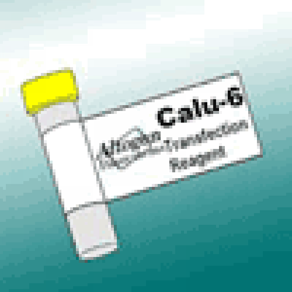 Calu-6 Transfection Kit (Lung Carcinoma, HTB-56) | InVivo and Cell Line ...